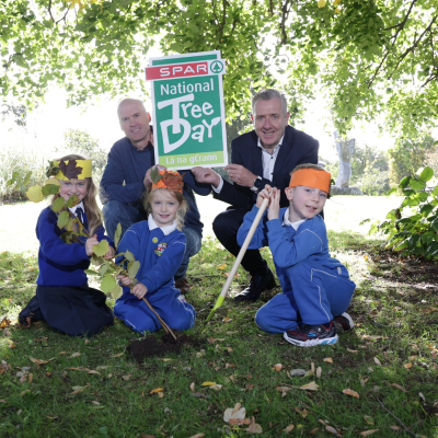 SPAR National Tree Day: 2,000 free native Hazel tree saplings available ...